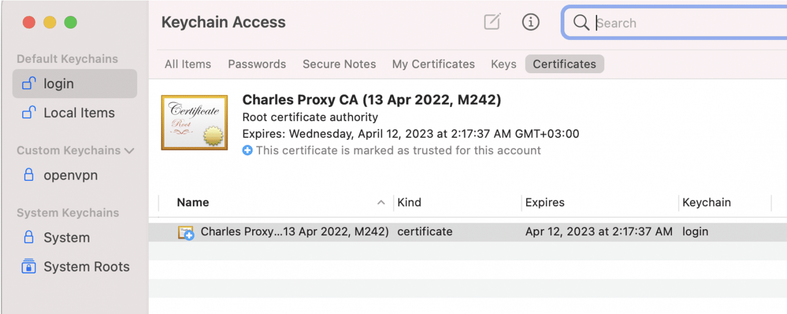 Commencis - Mastering Charles Proxy: What is it and how to use it